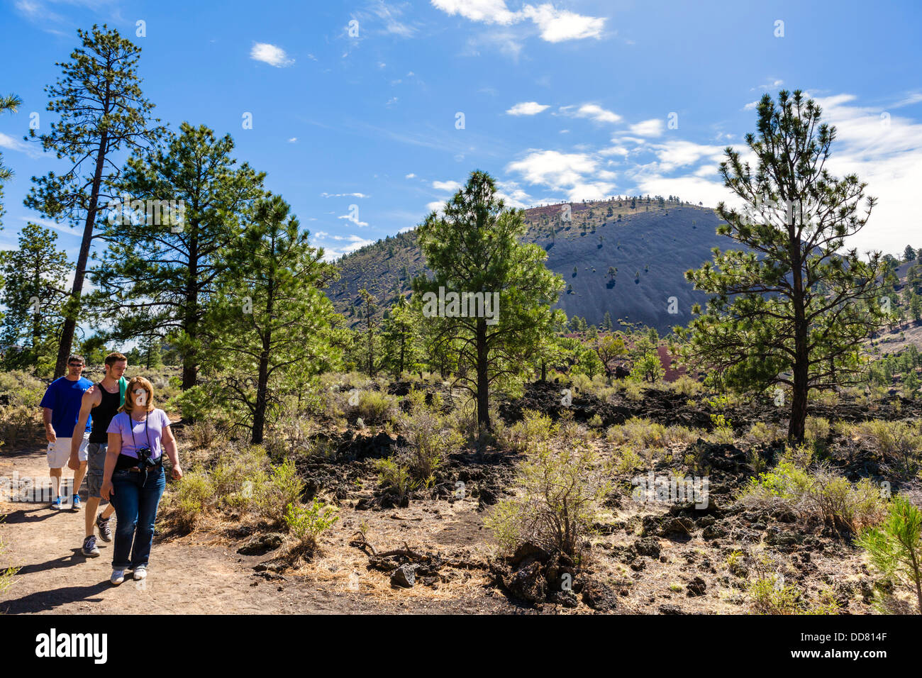 Tourists on the Lava Flow Trail at Sunset Crater Volcano National ...
