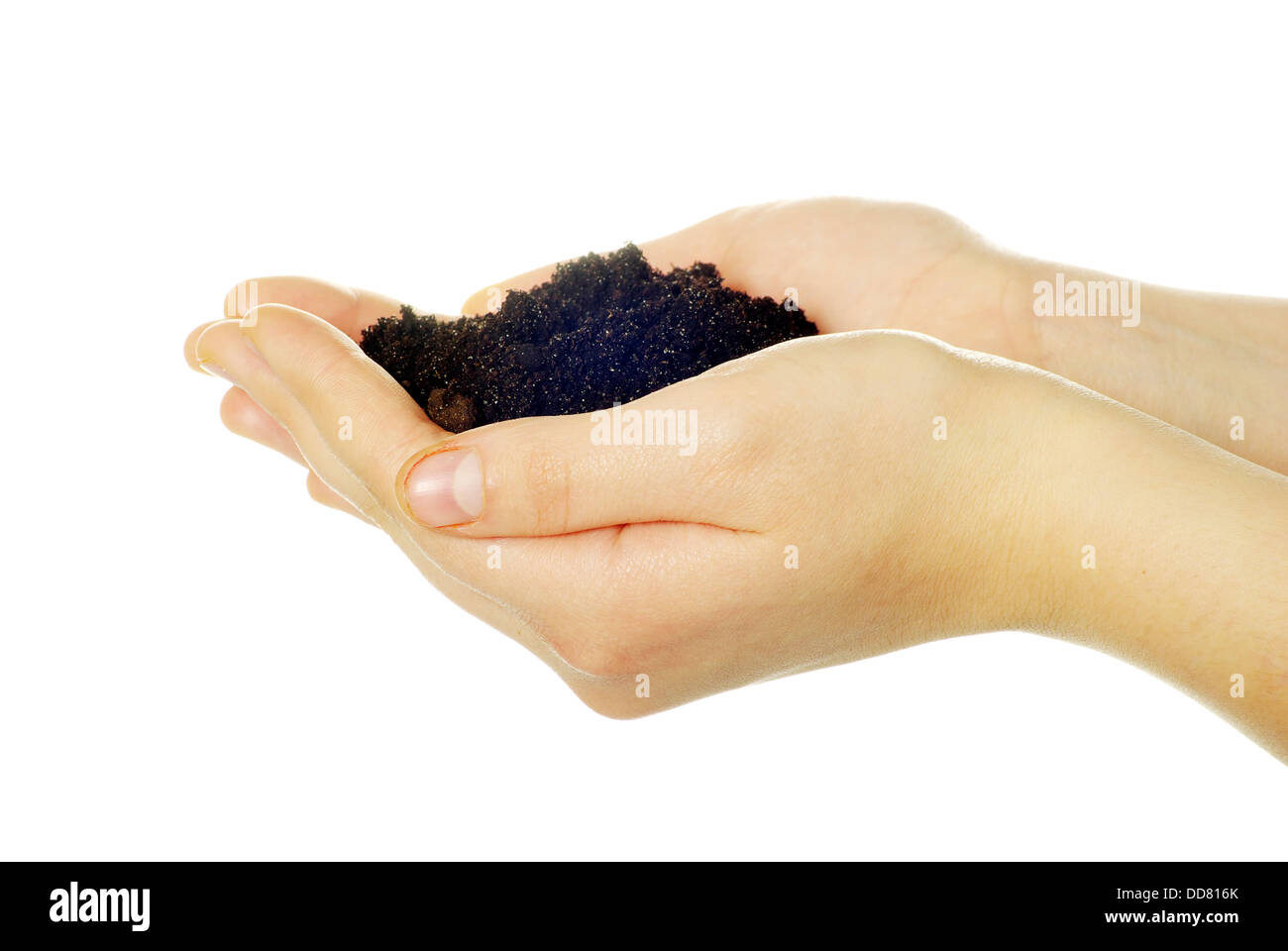earth in hands Stock Photo - Alamy
