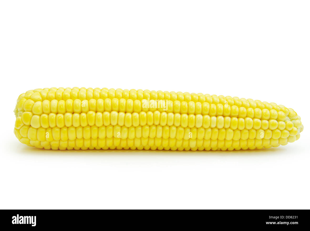 Maize farm Cut Out Stock Images & Pictures - Alamy