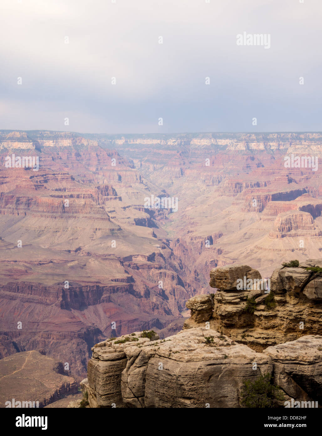 Grand Canyon national park Stock Photo - Alamy