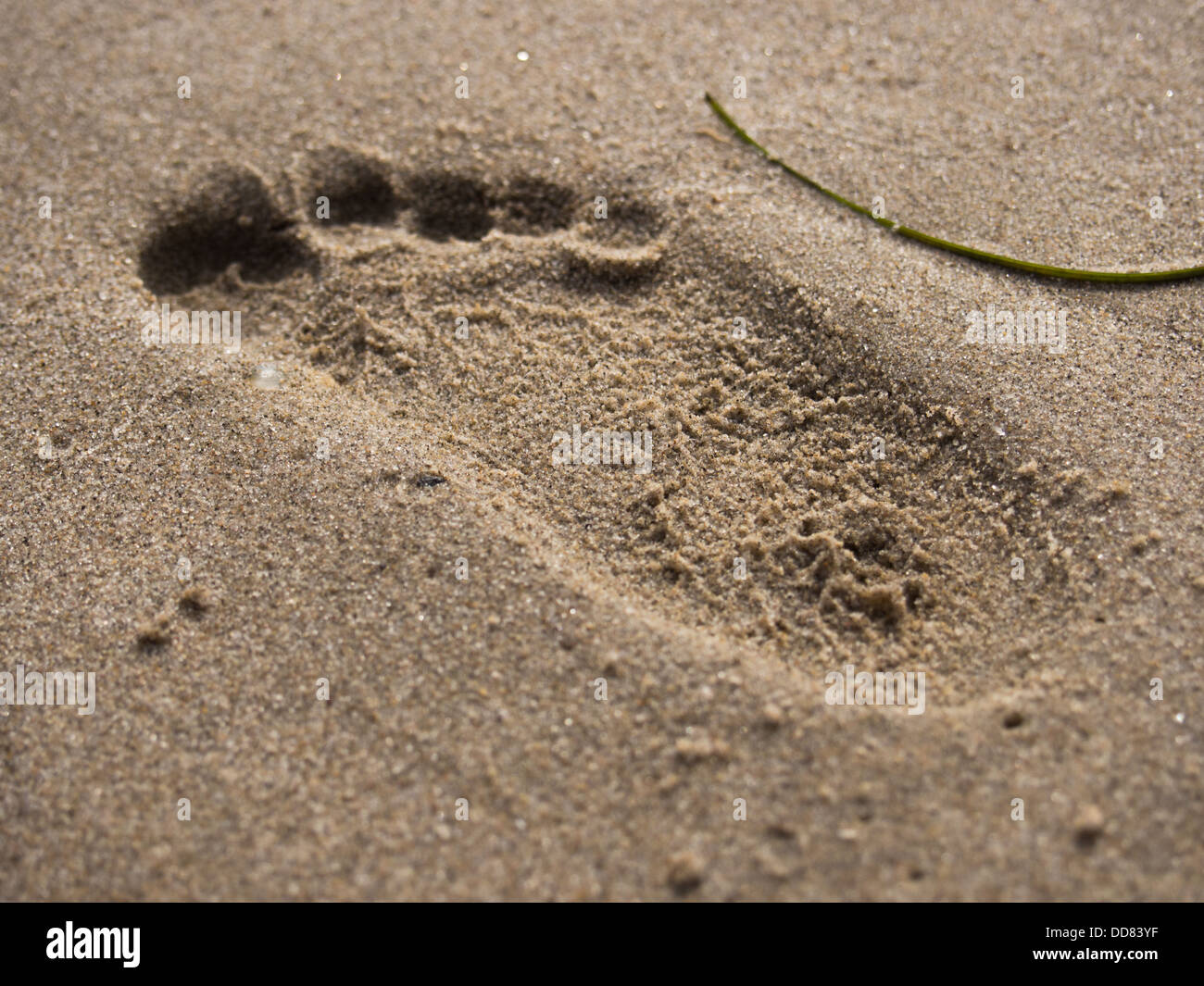 Childs footprint hi-res stock photography and images - Alamy