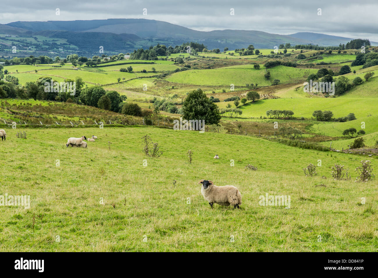 Sperrin mountains hi-res stock photography and images - Alamy