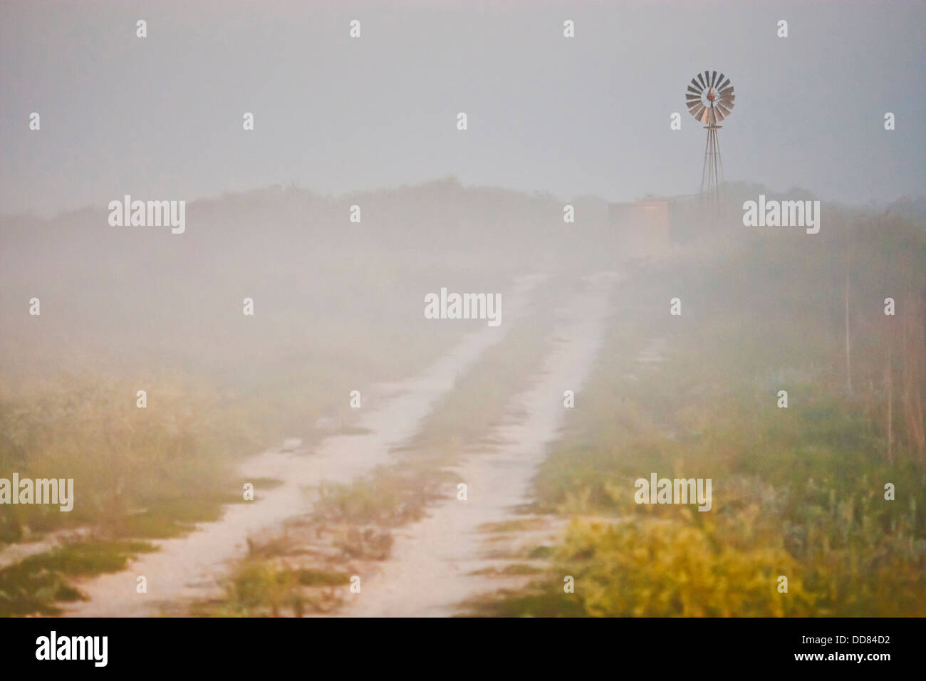 Ranch road and windmill in fog, Texas, USA Stock Photo - Alamy