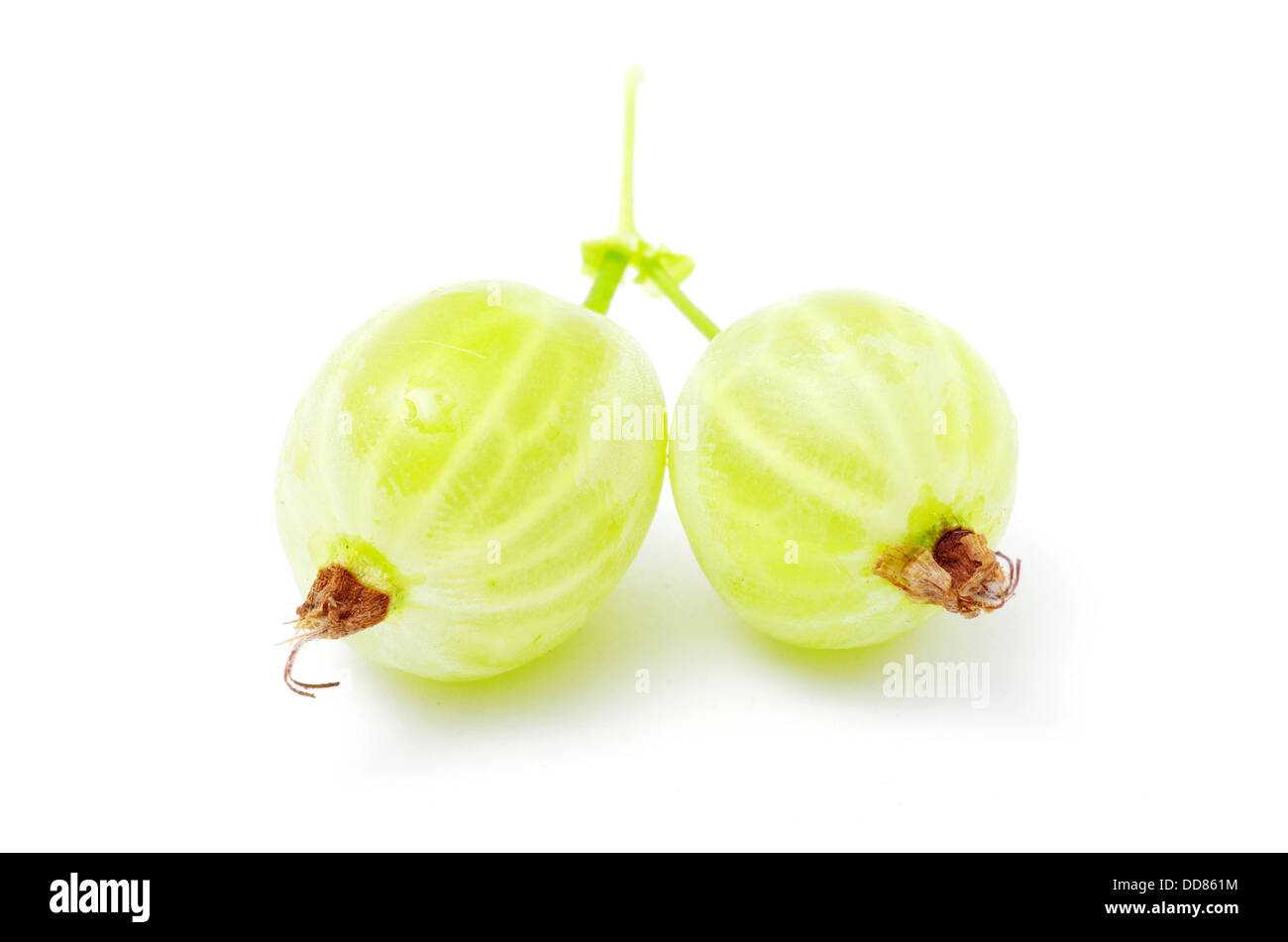 Closeup ripe green gooseberry Cut Out Stock Images & Pictures - Alamy