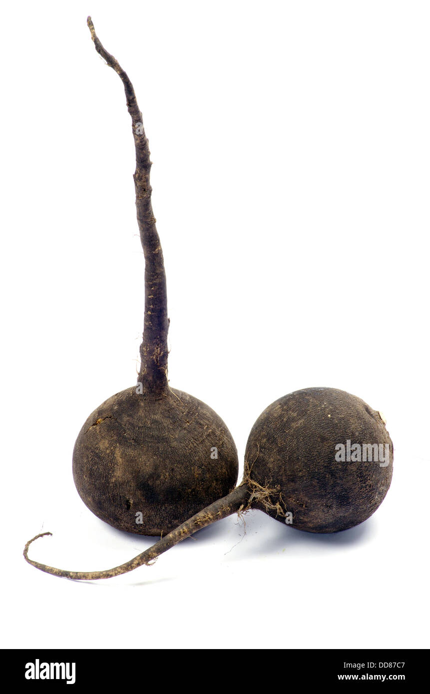 Black and bitter hi-res stock photography and images - Alamy