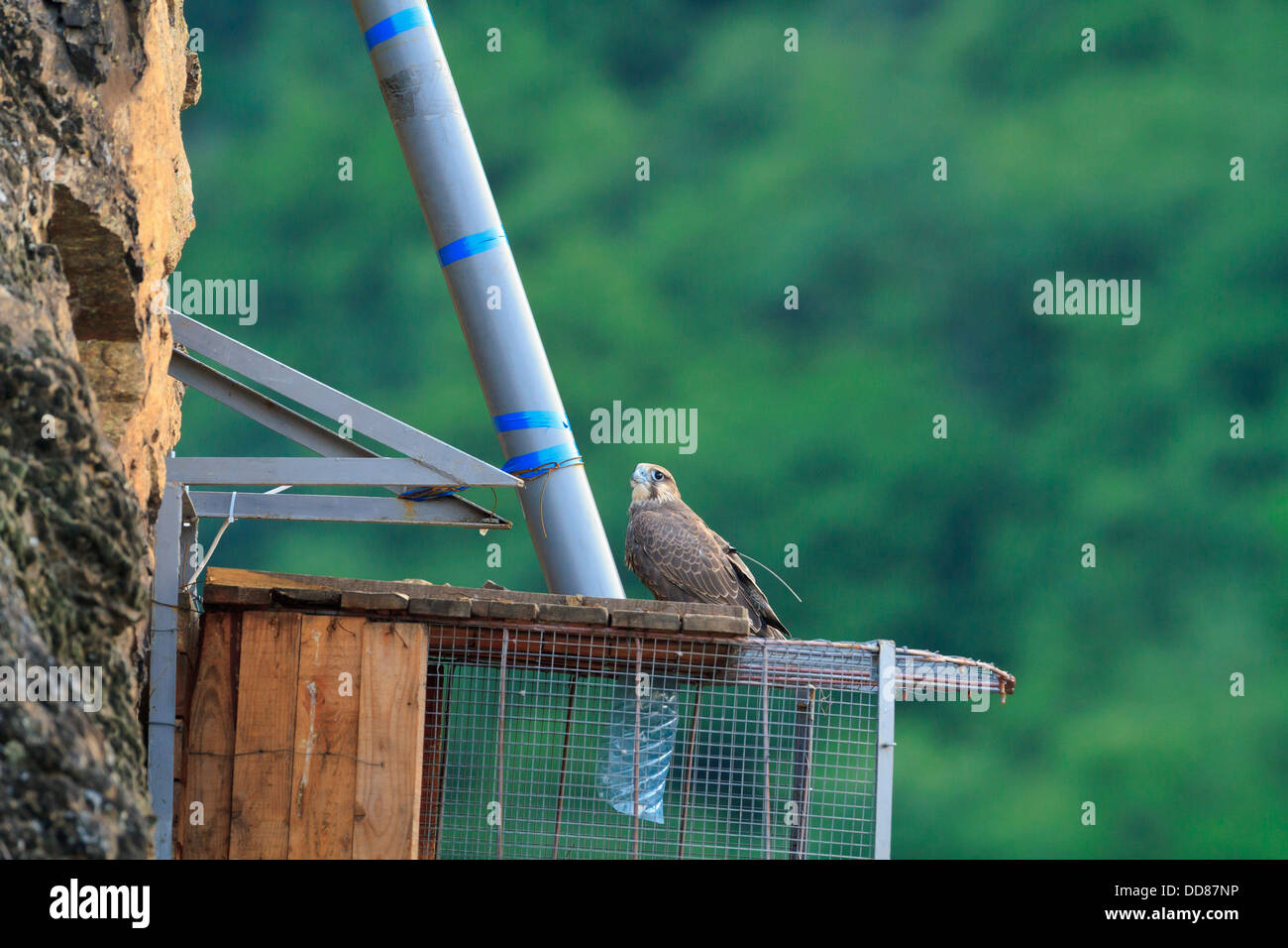 Hack box hi-res stock photography and images - Alamy