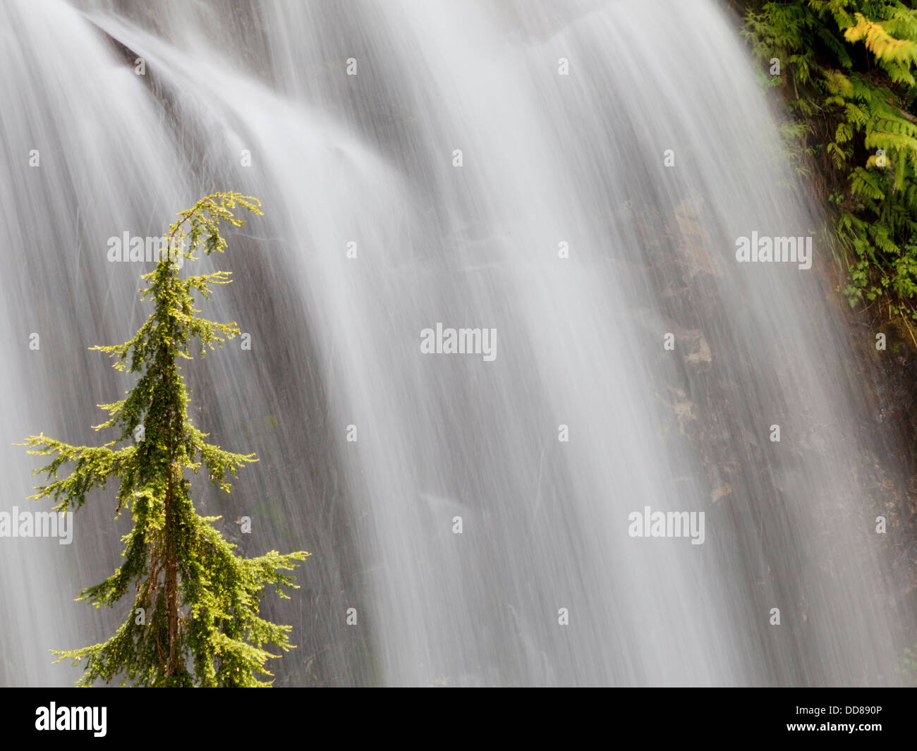 USA, Washington, Stehekin. Waterfall at the end of the Agnes Gorge ...