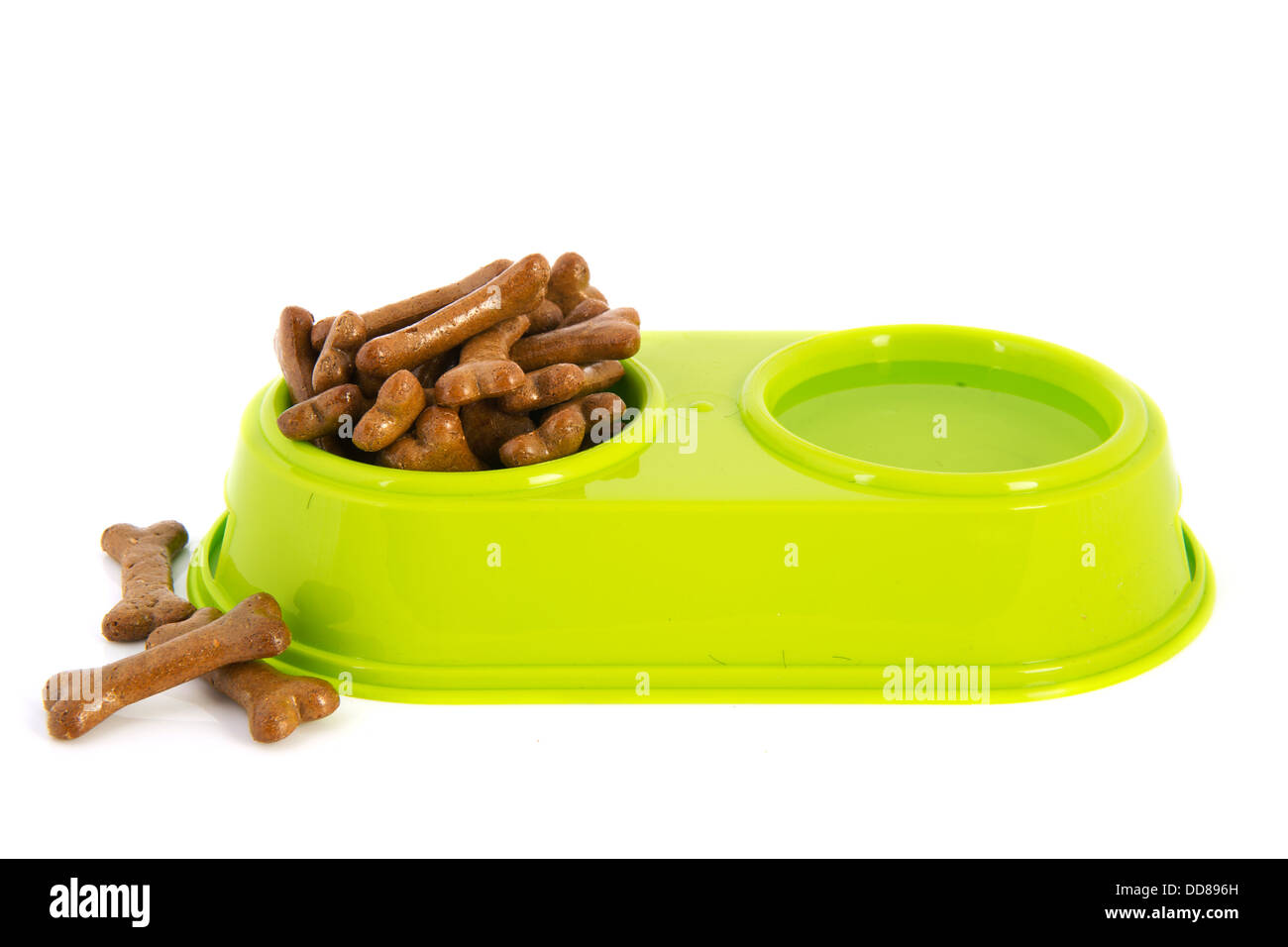 Green tray dog food and water Stock Photo - Alamy