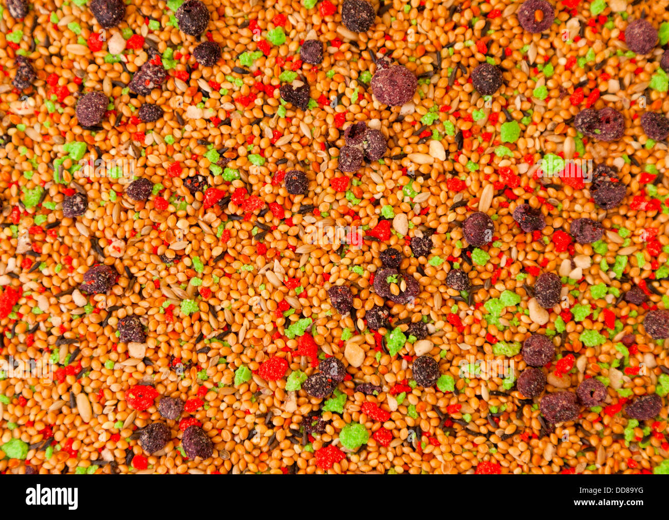 bird seed, mixed granular food for canaries and budgerigar Stock Photo ...