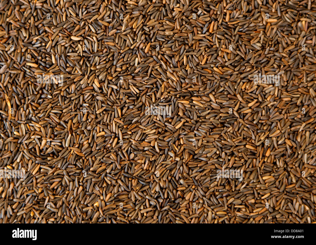 bird seed, mixed granular food for canaries and budgerigar Stock Photo ...