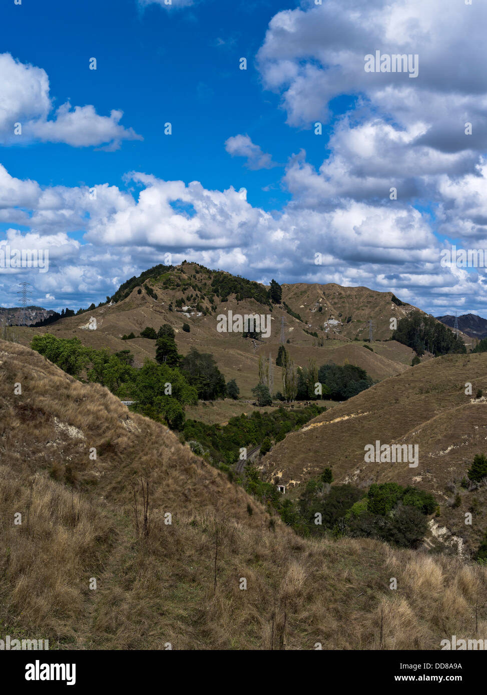 dh Forgotten World Highway TAHORA SADDLE NEW ZEALAND SH43 state highway ...