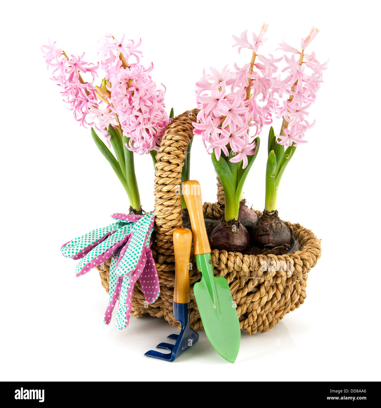 Full spring Cut Out Stock Images & Pictures - Alamy