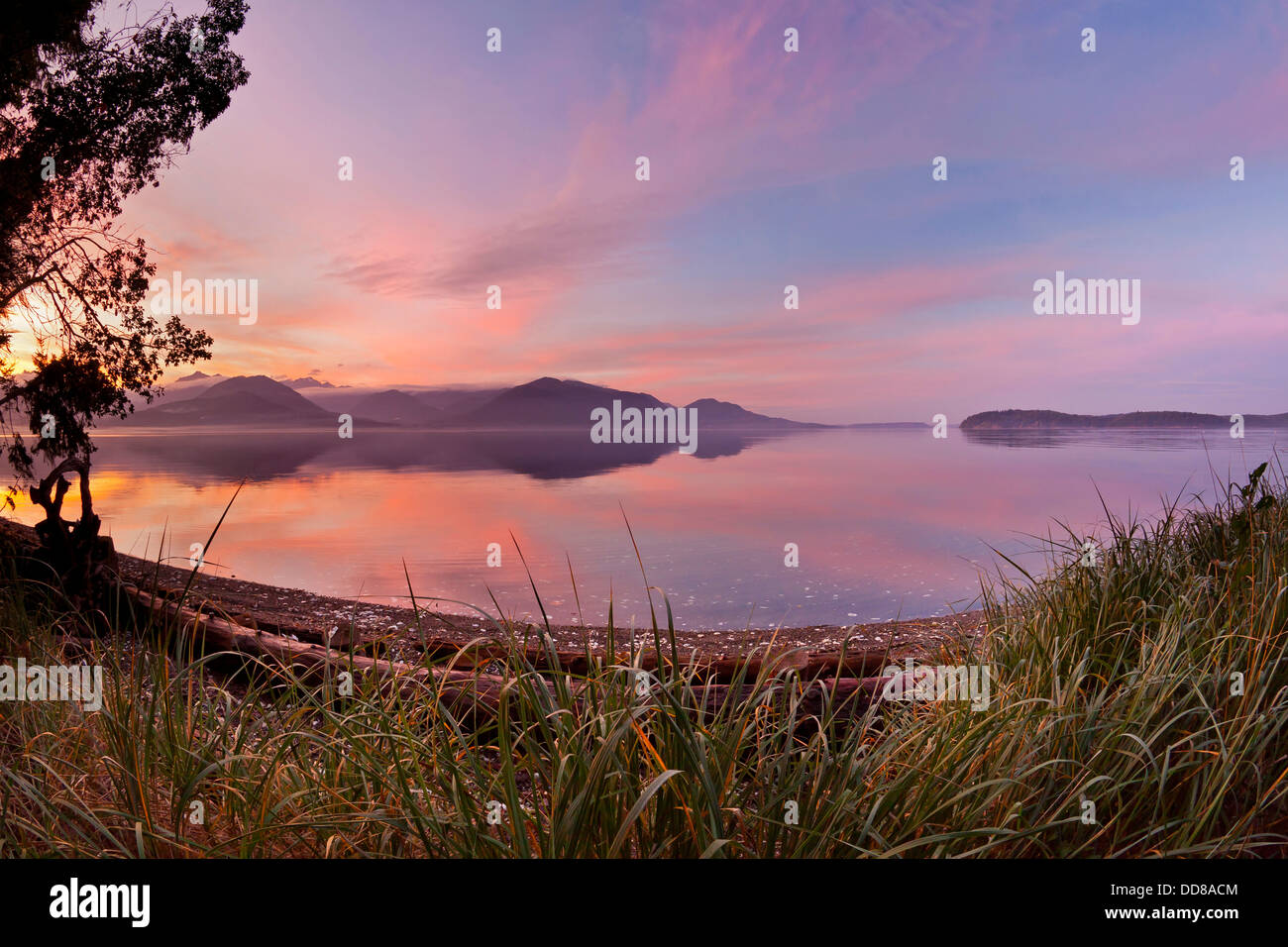 Washington hood canal beach hi-res stock photography and images - Alamy