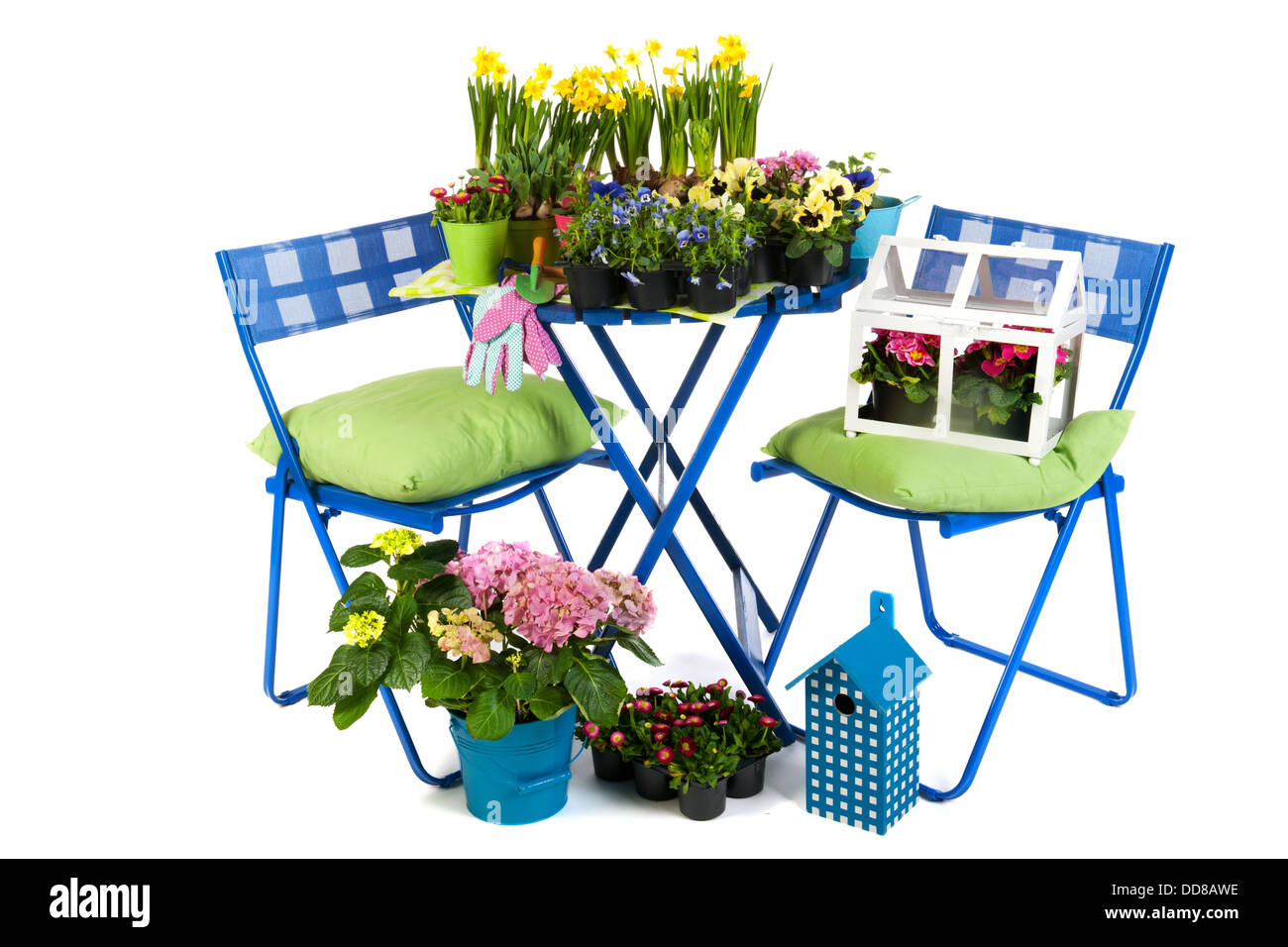 Summer plants Cut Out Stock Images & Pictures - Alamy