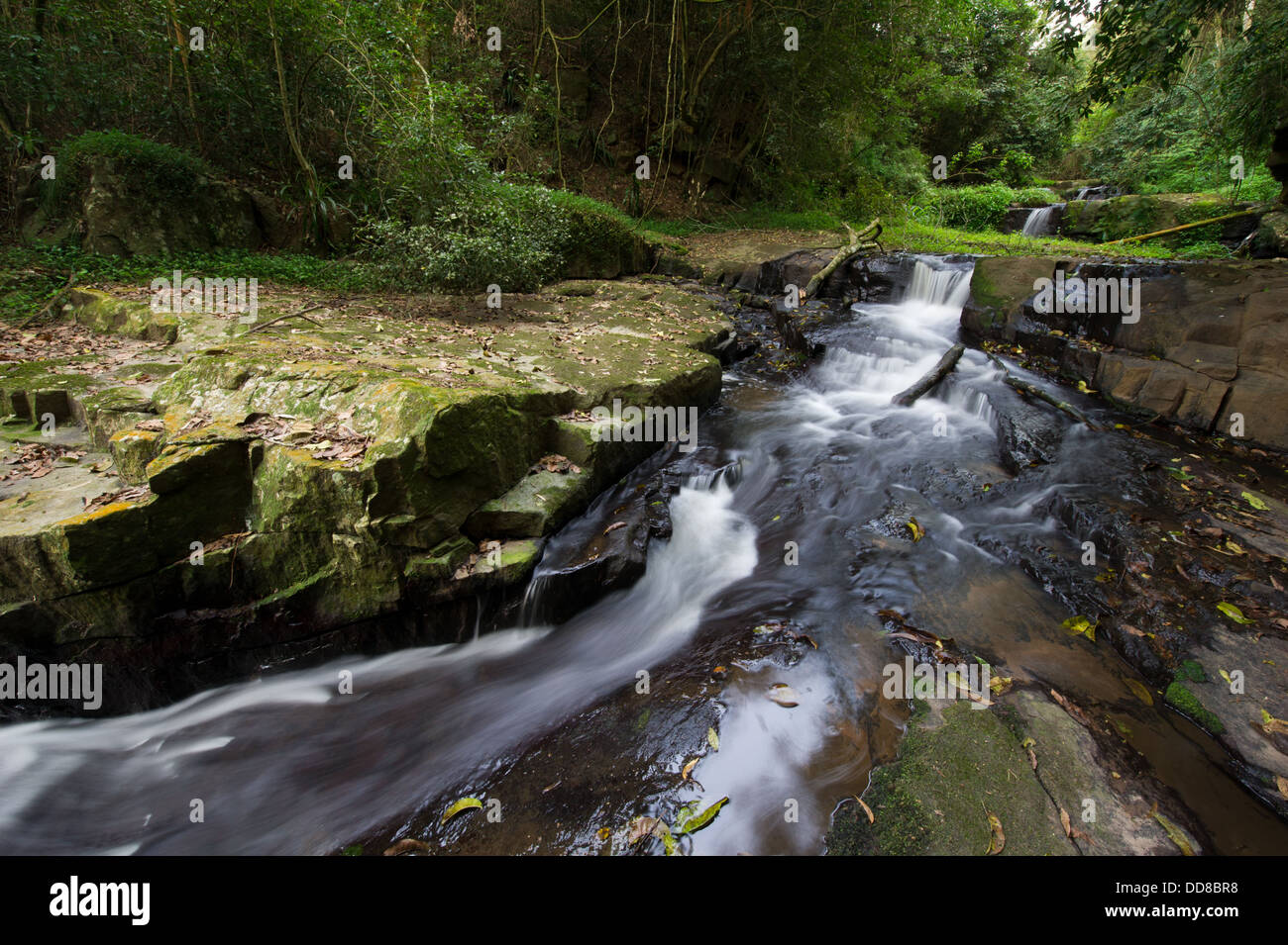 South africa waterfall hi-res stock photography and images - Alamy
