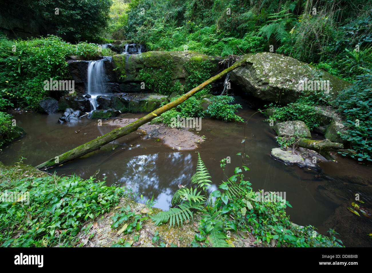 Eshowe hi-res stock photography and images - Alamy