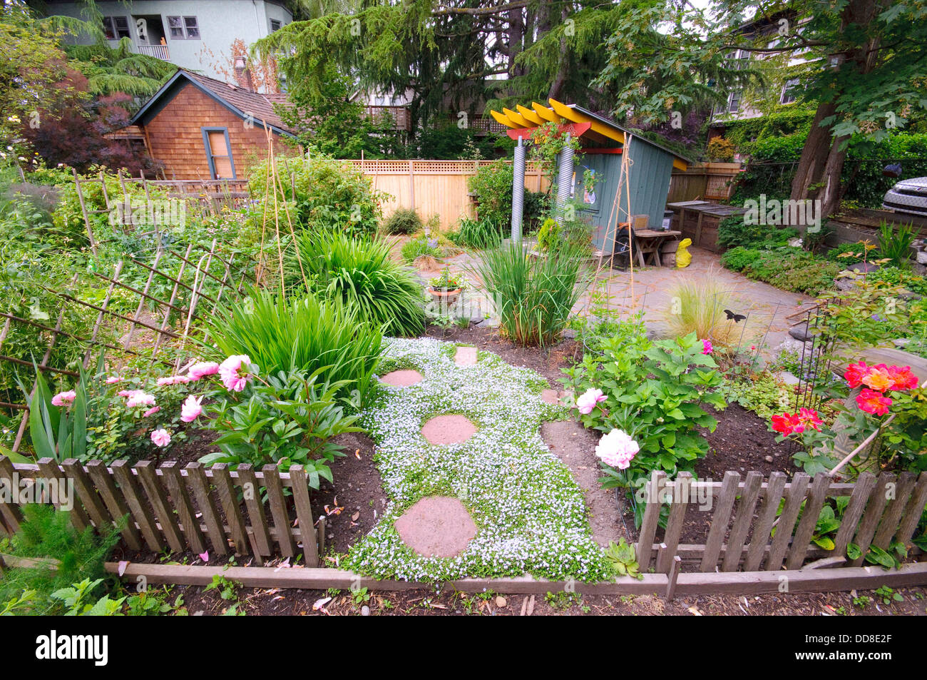 Seattle community garden (P-Patch) with decorative shed Stock Photo - Alamy