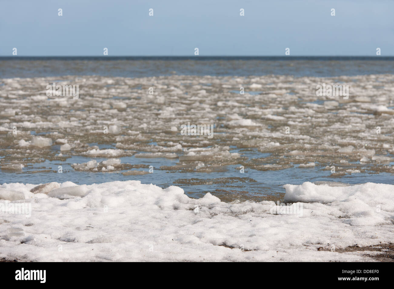 Drifting ice in the sea Stock Photo - Alamy