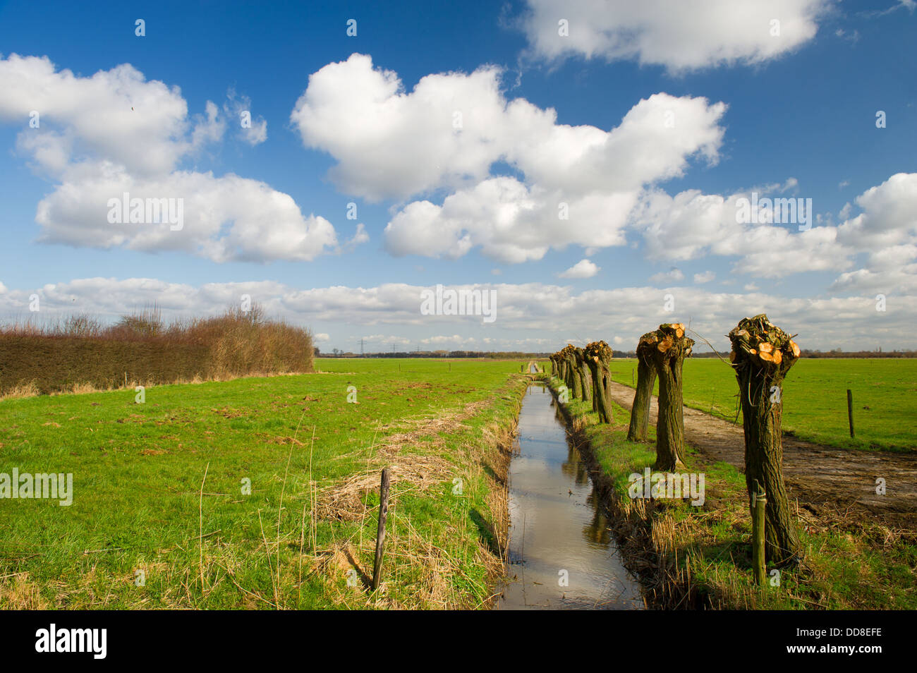 Typical dutch landscape Stock Photo - Alamy