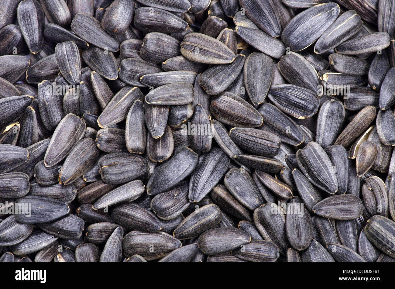 seeds for backgrounds Stock Photo - Alamy