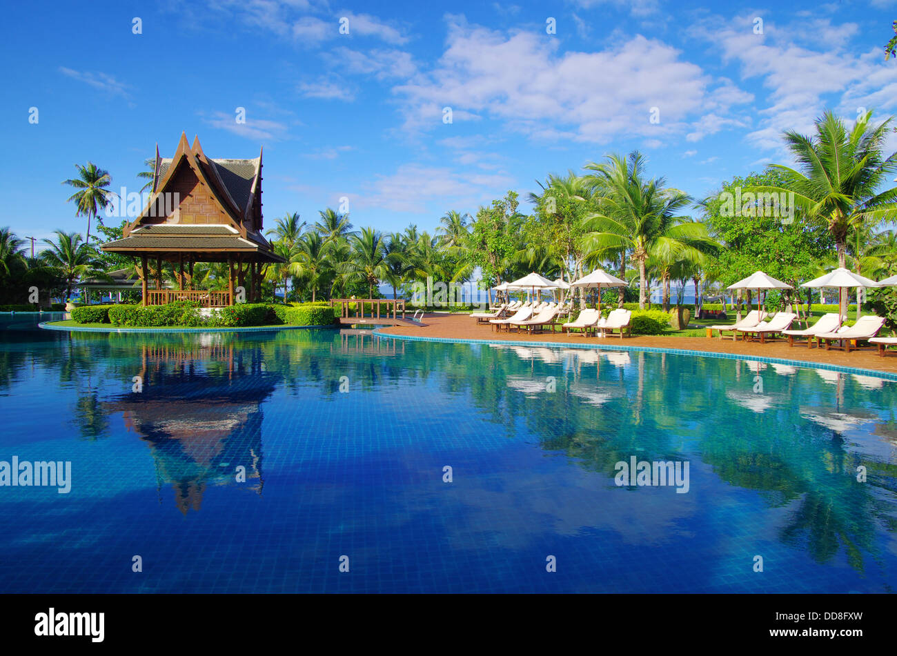 tropical swimming pool Stock Photo - Alamy
