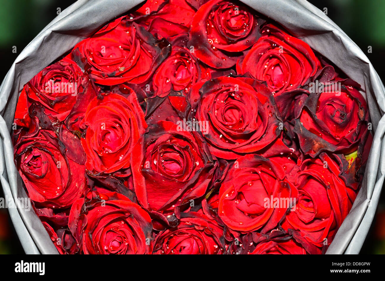 bunch of red roses Stock Photo - Alamy