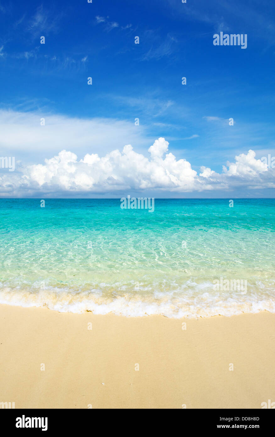 beach and tropical sea Stock Photo - Alamy