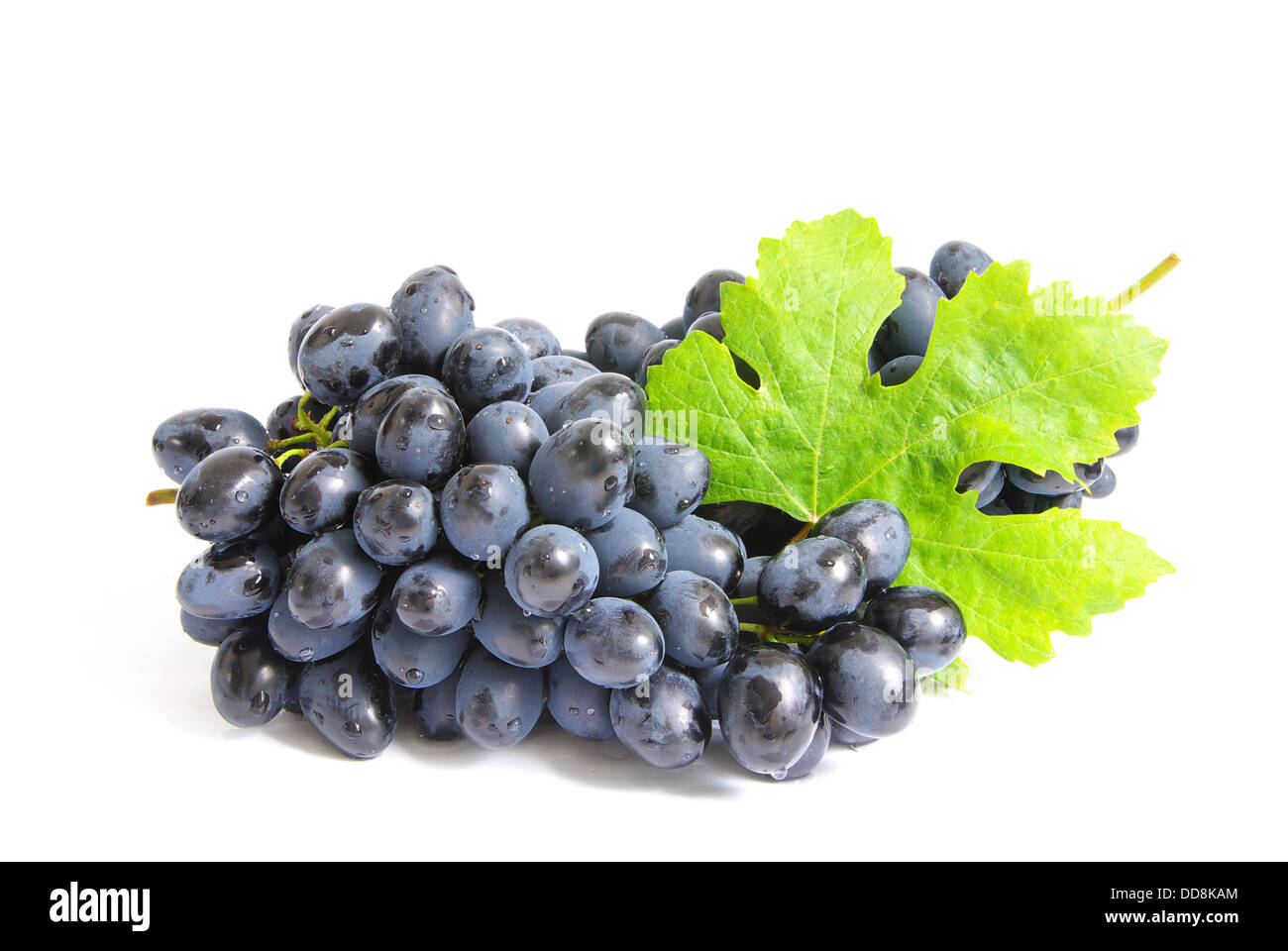Grapes condensation Cut Out Stock Images & Pictures - Alamy