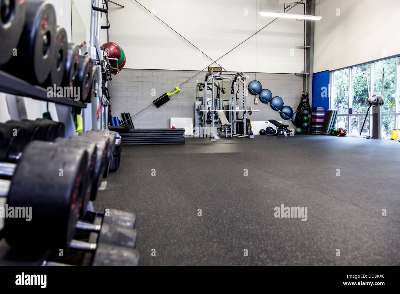Rack of weights in gym Stock Photo - Alamy