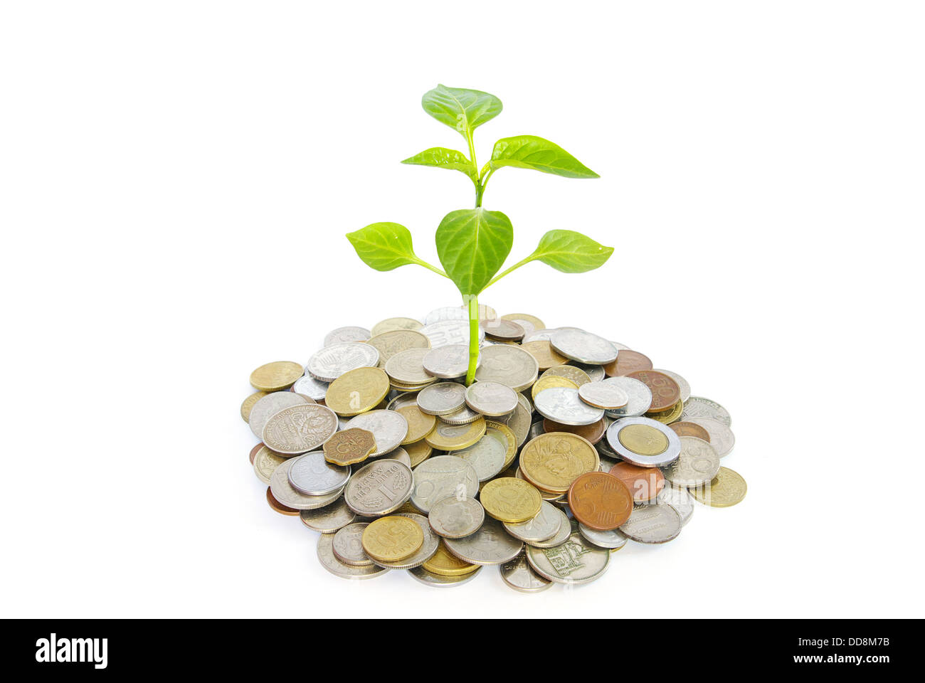 Tree with coins in it Cut Out Stock Images & Pictures - Alamy