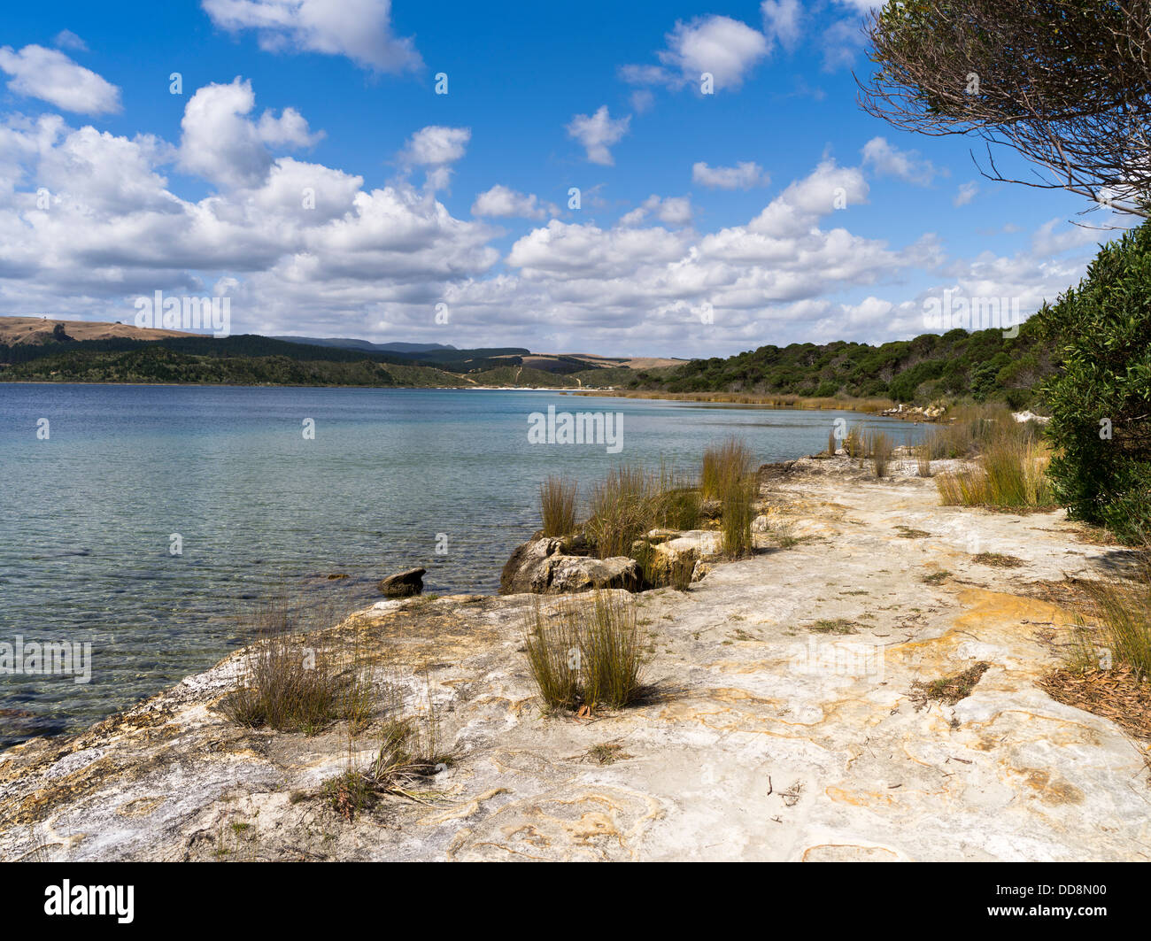 dh Lake Taharoa NORTHLAND NEW ZEALAND Kai Iwi lakes recreation reserve ...