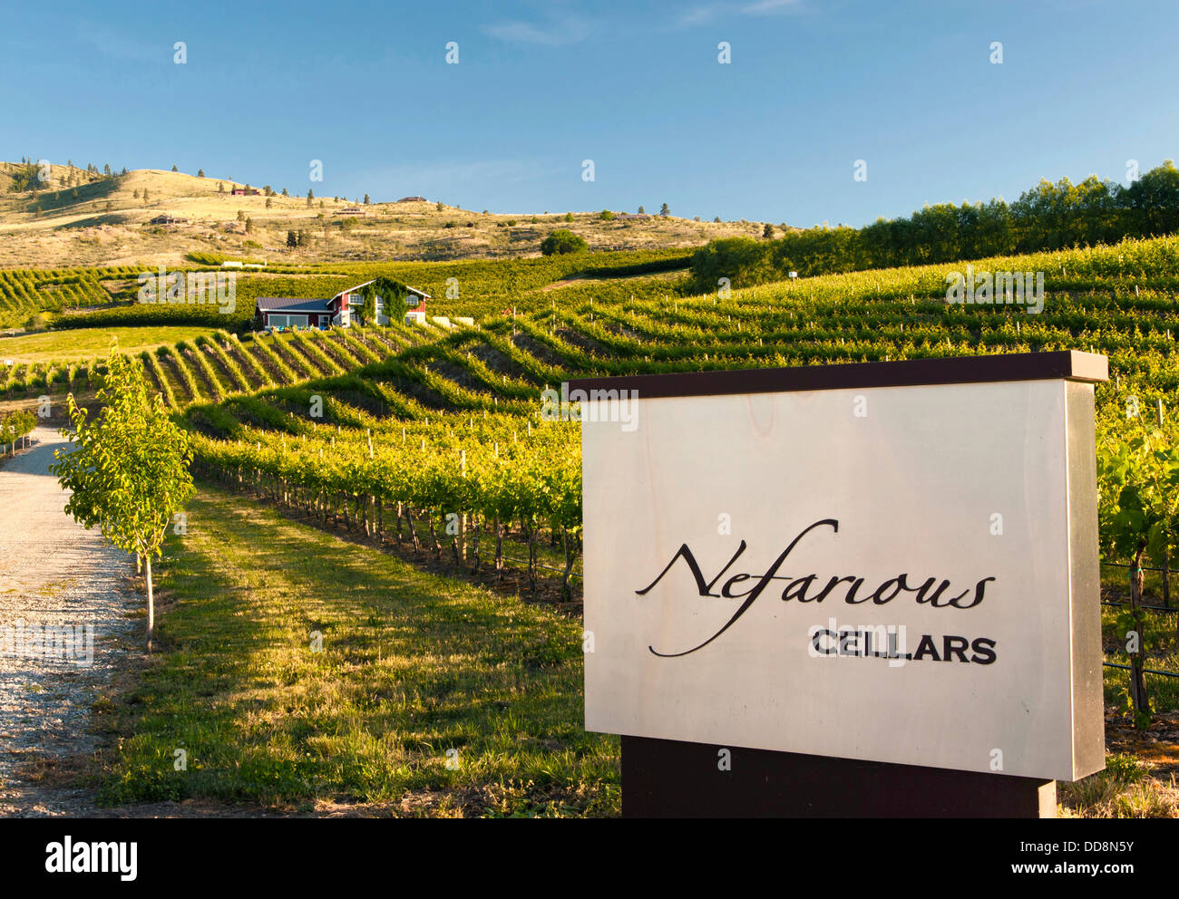 Nefarious cellars hi-res stock photography and images - Alamy