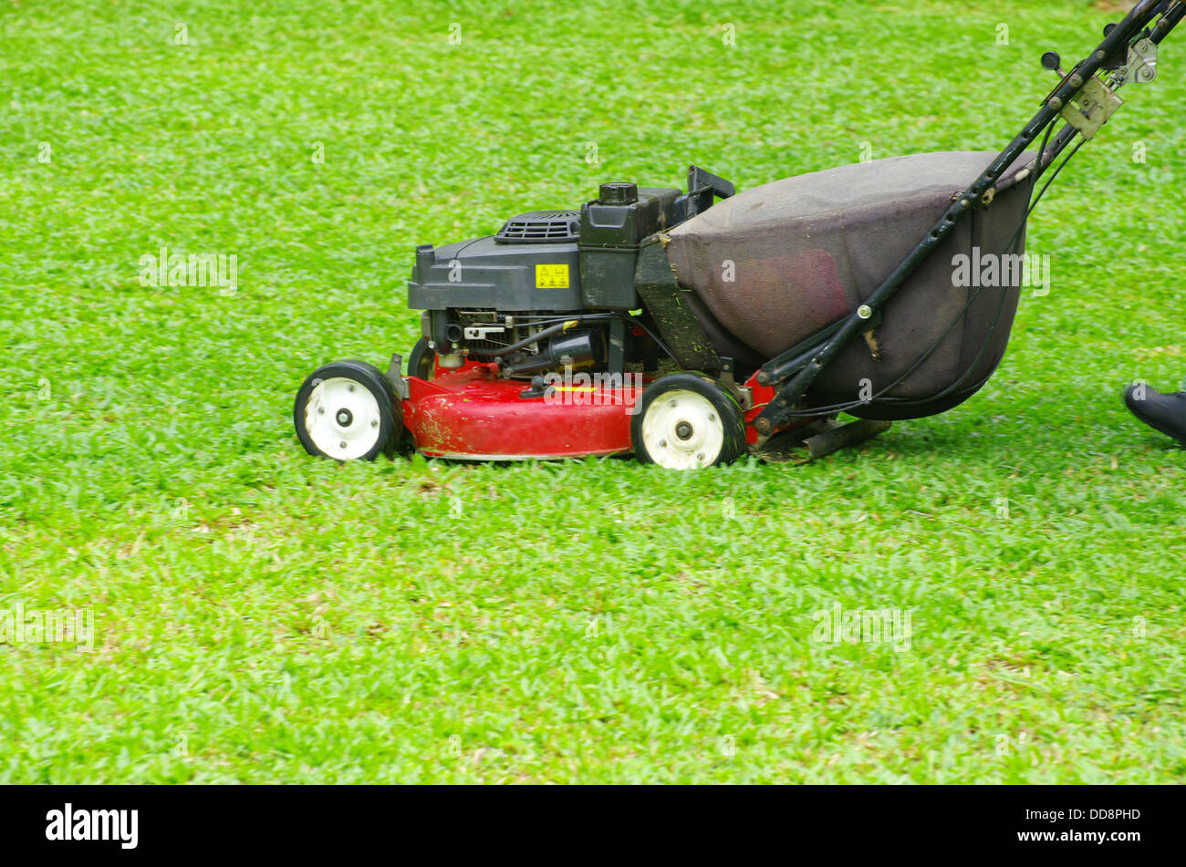mowing the lawn Stock Photo - Alamy