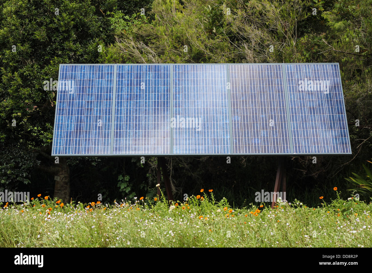 Solar panel tree trees hi-res stock photography and images - Alamy