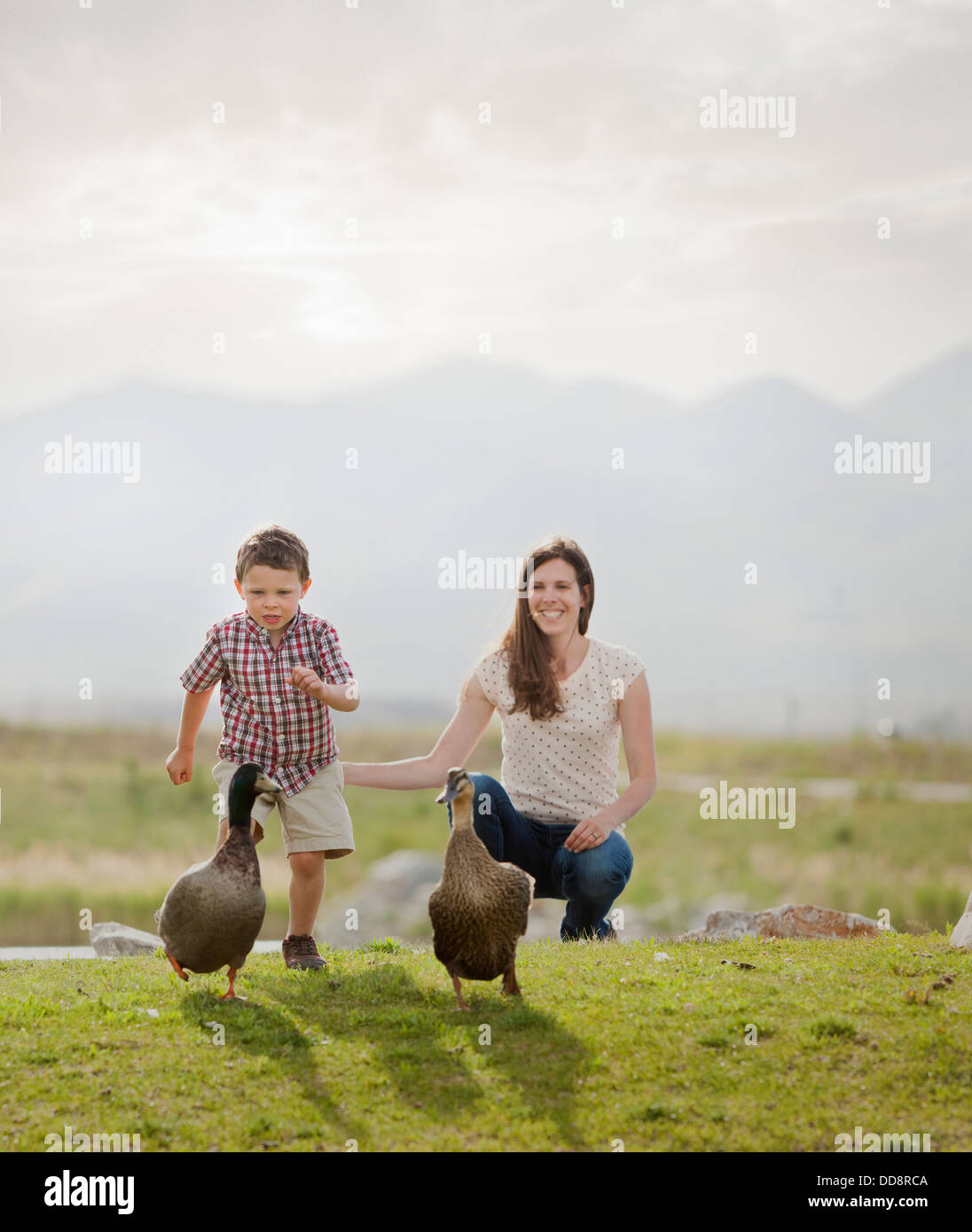 Caucasian mother and son feeding ducks Stock Photo - Alamy