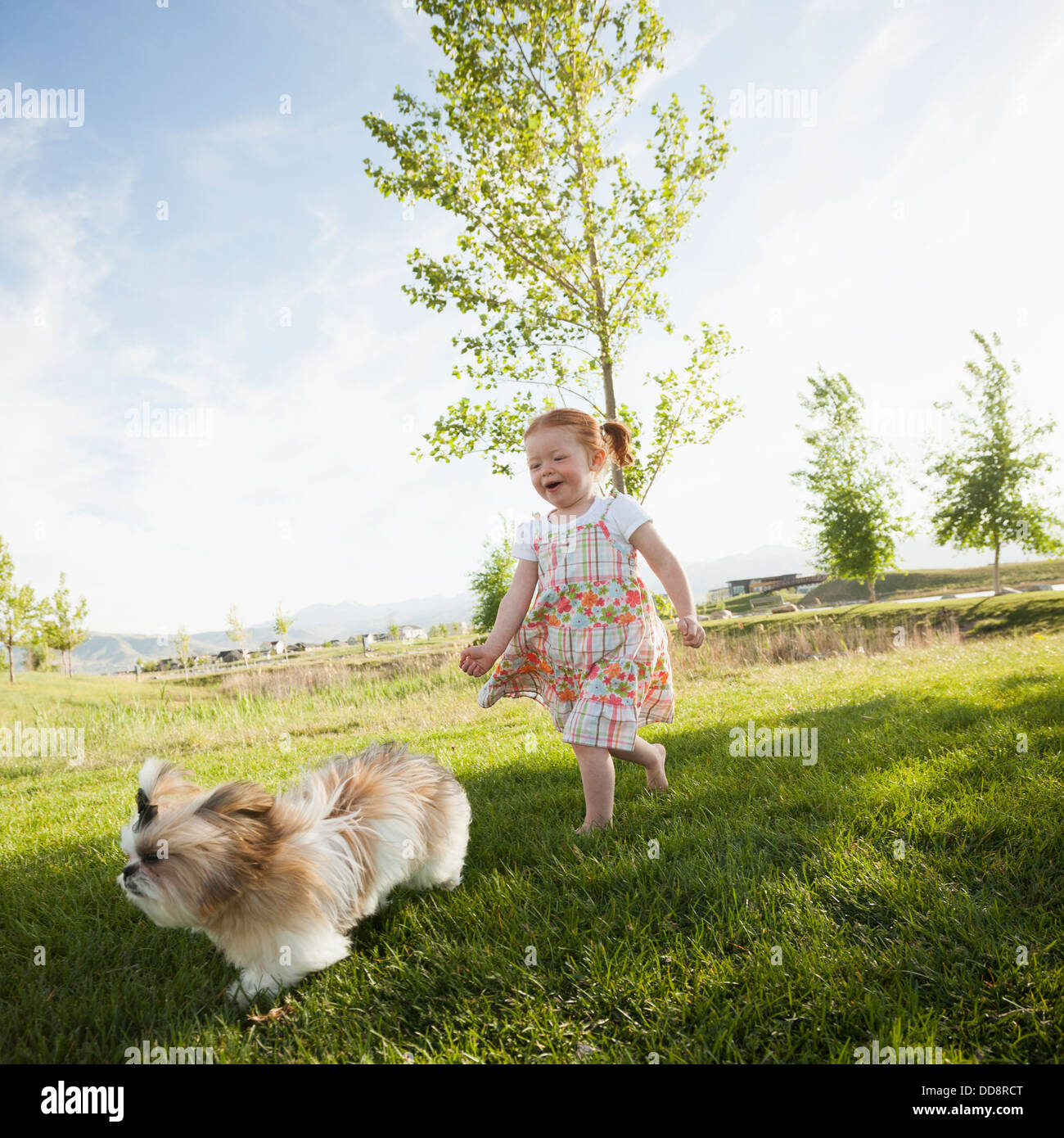 Caucasian girl chasing dog in grass Stock Photo - Alamy