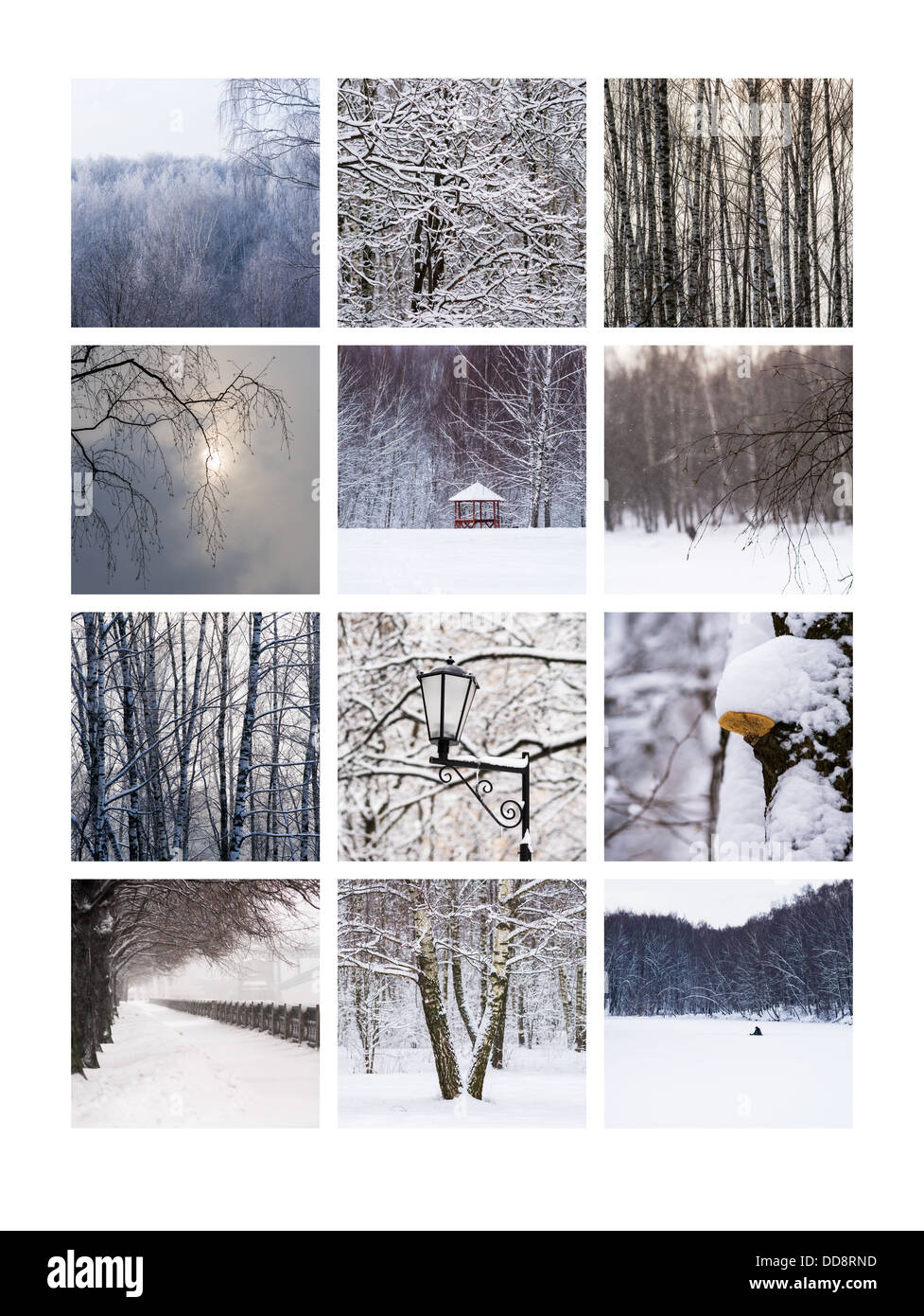 Collage February. Collage of winter nature photos Stock Photo - Alamy