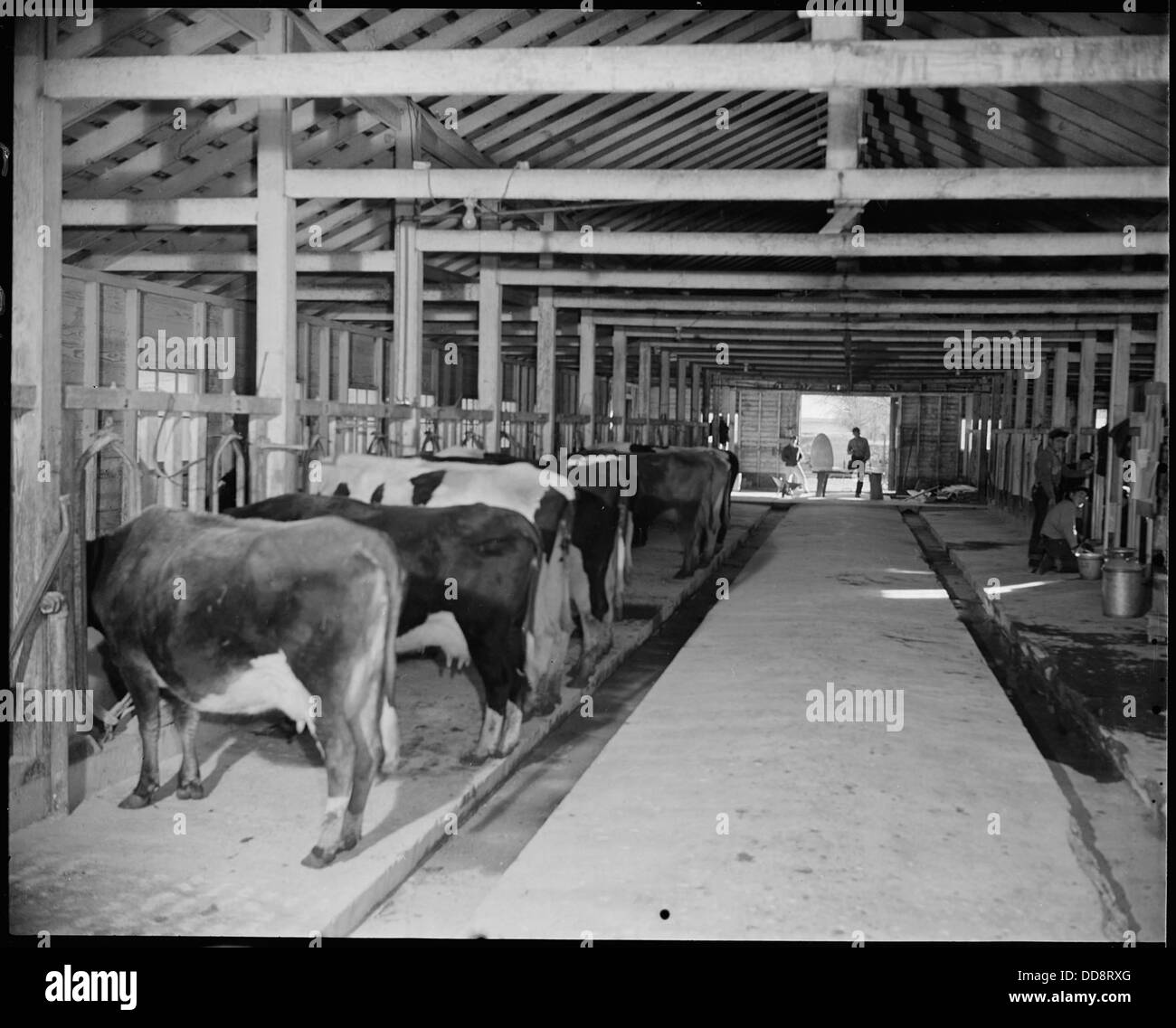 Project shed Black and White Stock Photos & Images - Alamy