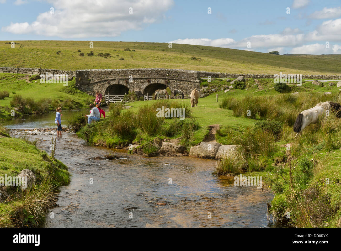England Devon, Dartmoor, stream, bridge & ponies Stock Photo - Alamy
