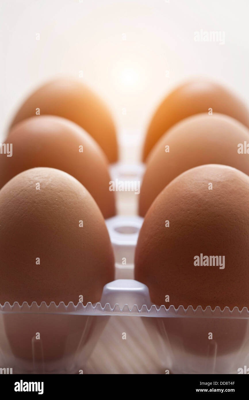 Close up of egg carton Stock Photo - Alamy