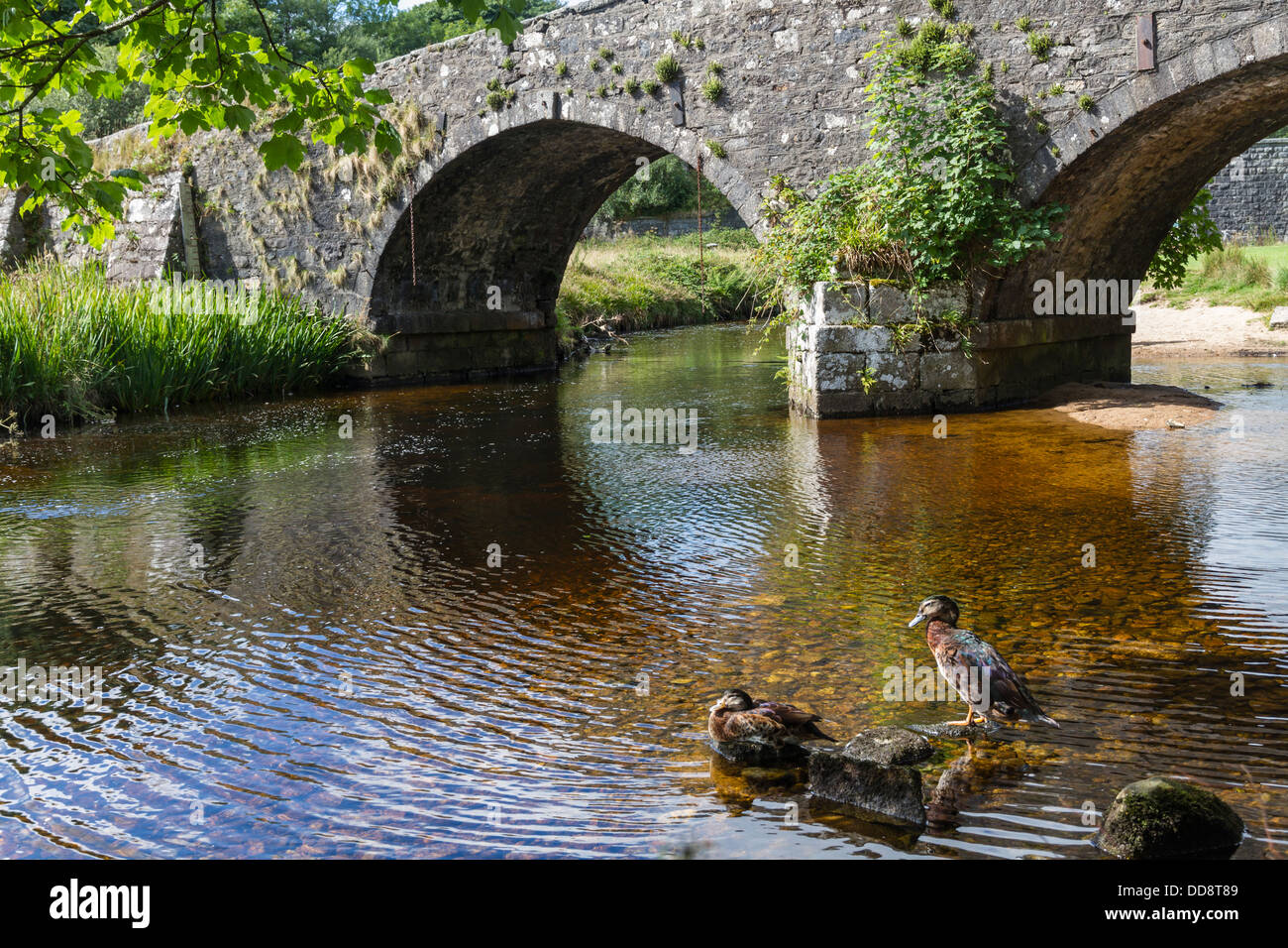 England Devon, Dartmoor, Princetown, River Dart at Two Bridges Stock ...