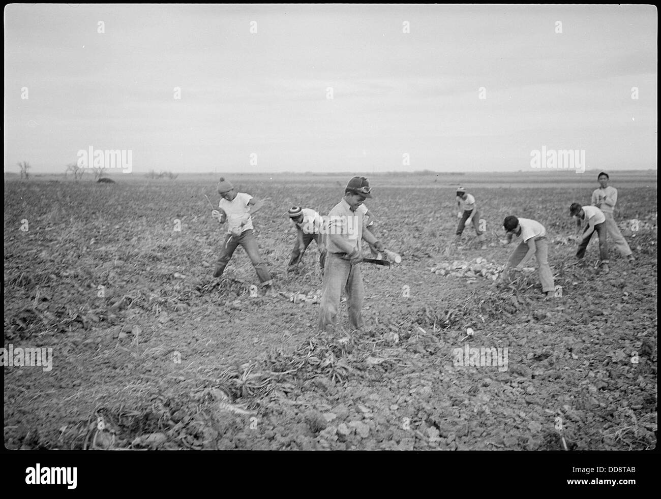 Ed. Paulish’s farm, located 9 miles southeast of Granada in Colorado ...
