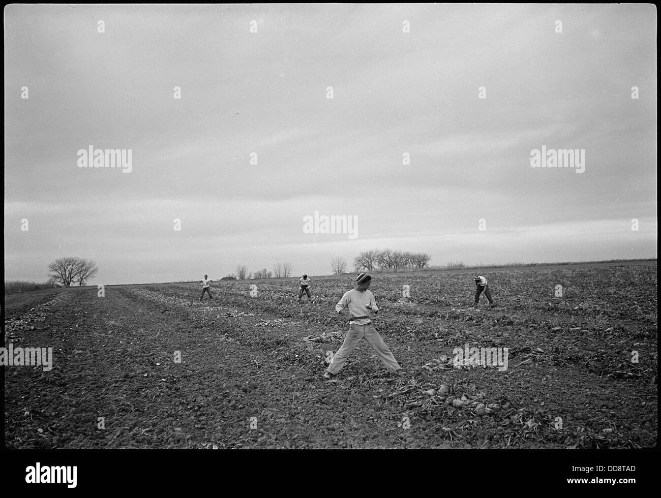 Granada farm Black and White Stock Photos & Images - Alamy