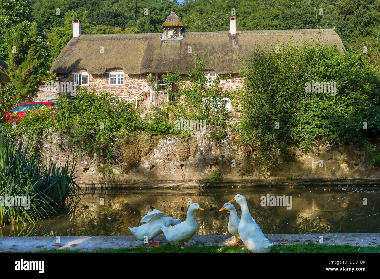 Bickleigh devon england hi-res stock photography and images - Alamy