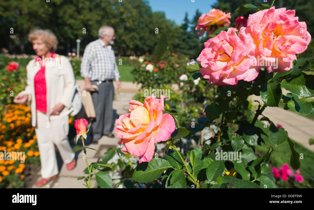 Visitors walk through the East German Rose Garden in Forst, Germany, 29 ...