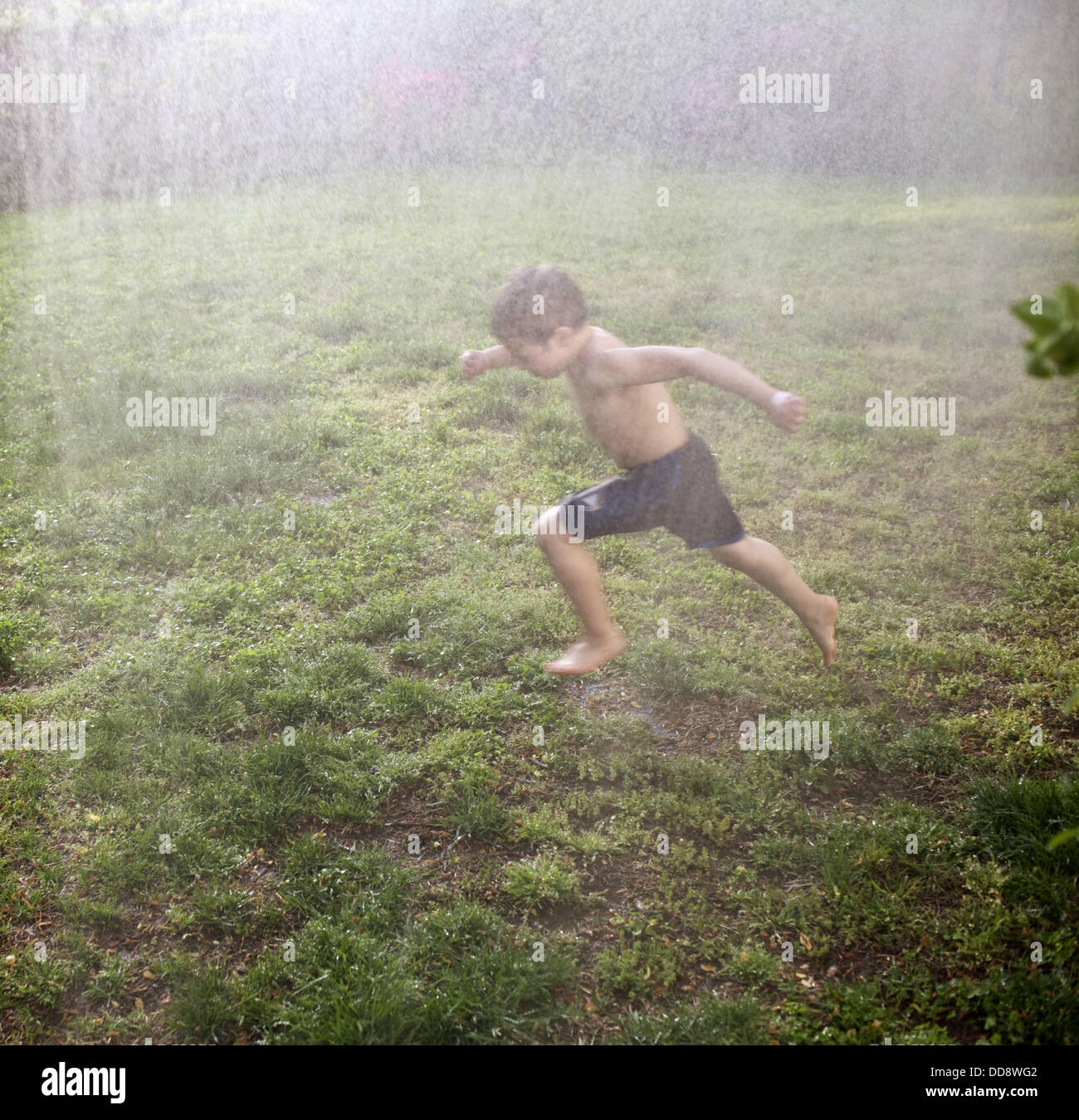 Hydrant sprinkler hi-res stock photography and images - Alamy