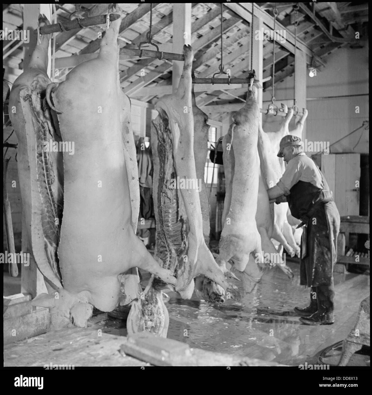 At the Granada Relocation Center in Amache, Colorado, a slaughterhouse ...