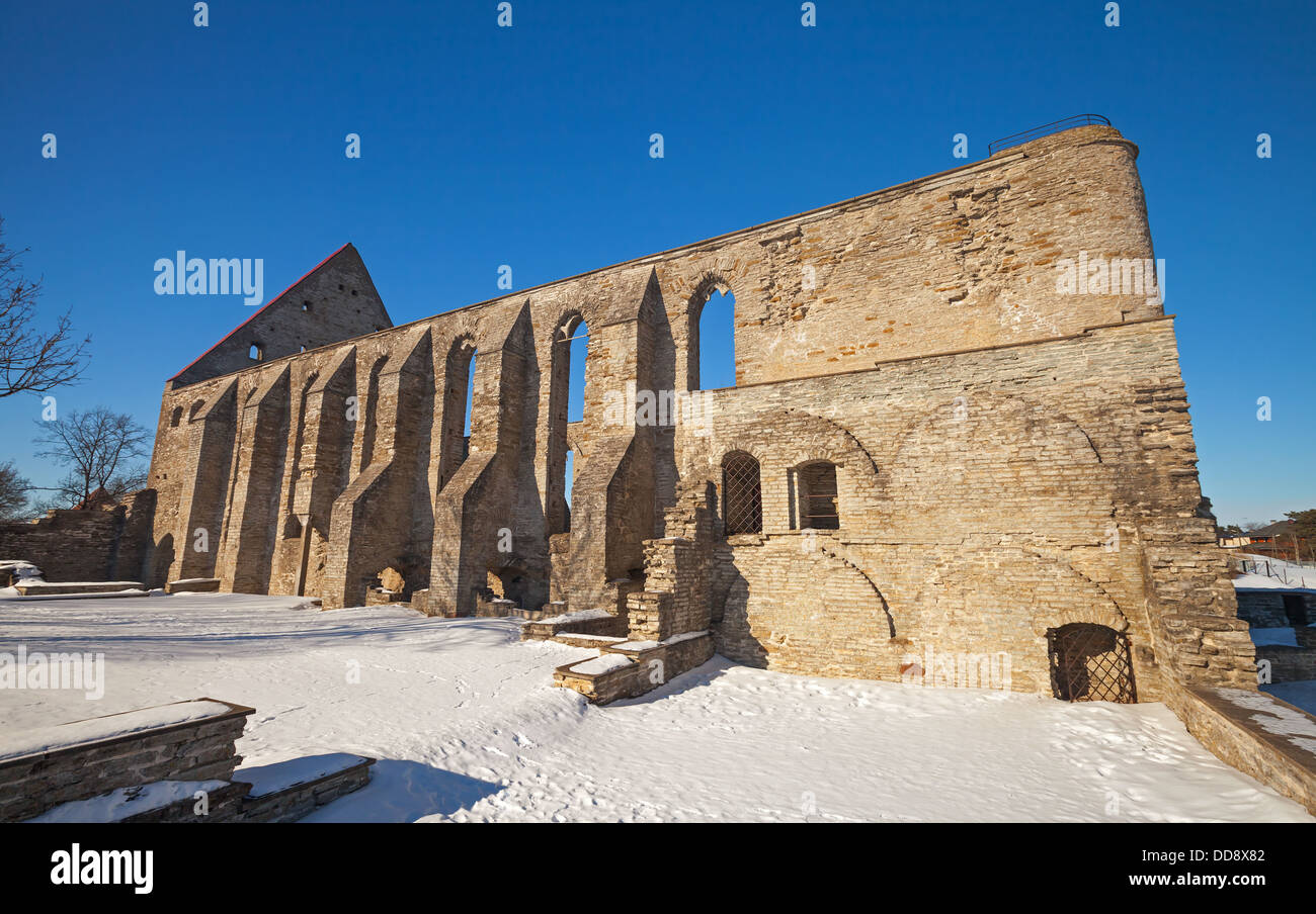 Ancient ruined St. Brigitta convent in Pirita region, Tallinn, Estonia ...