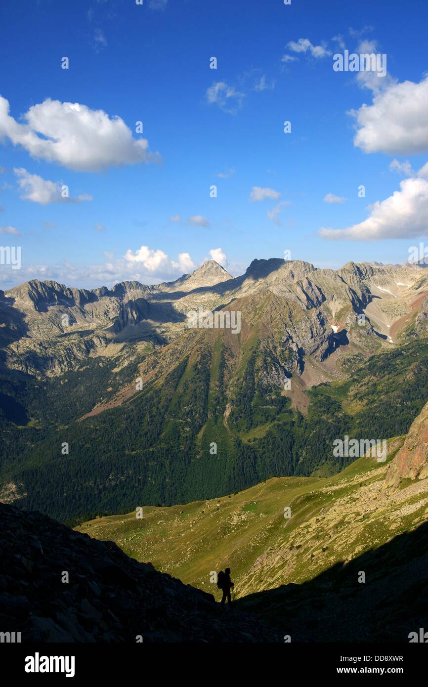 Perdiguero hi-res stock photography and images - Alamy