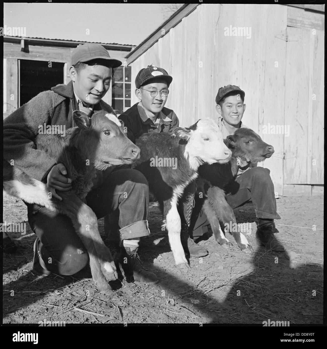 Three high school agricultural students are pictured with their ...